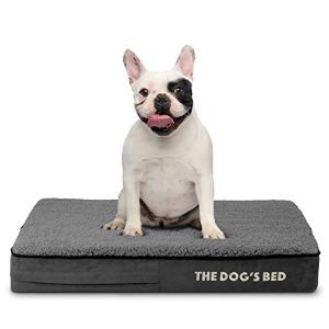 5 MEJORES Colchones Ortopédicos para Perros Pequeños